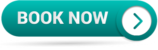 Bear Creek Interactive – Music Lessons by David Pollon