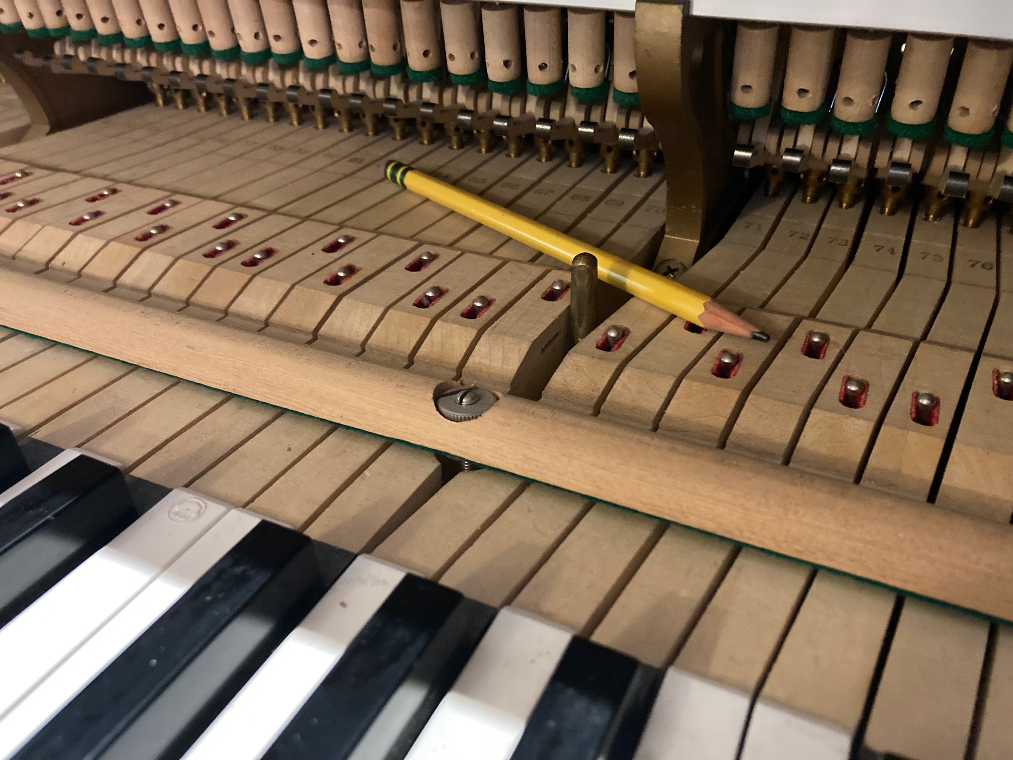 Bear Creek Interactive – Music Lessons by David Pollon